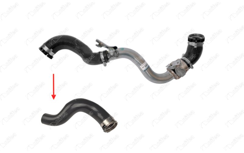 12325 - 144603145R, 6000618732, 1446000Q2B - Turbo Hose excludıng Metal ...