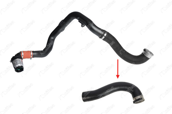 12756 - 8200730589, 8200730576, 144601765R - Turbo Hose excludıng ...