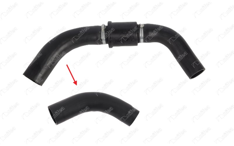 19653 - 6C116K683BD, 1440261, 6C116K683BC - Turbo Hose excludıng ...
